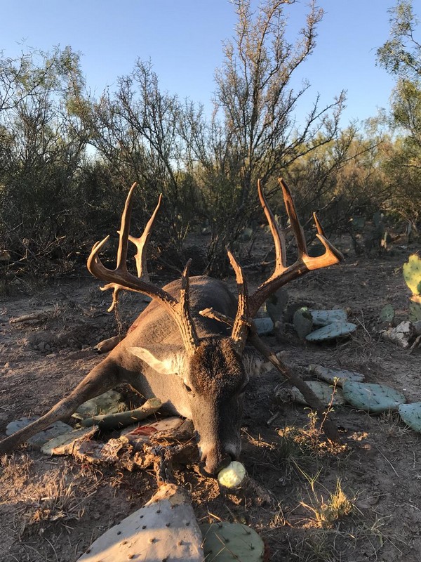 Mexico Trophy Whitetail Deer Hunts, El Corral Hunting Guide Services